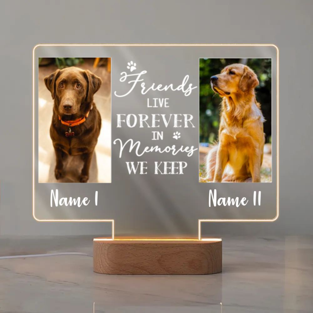 Pet Custom Print Acrylic Night Light With Two Photos, Friends Live ...